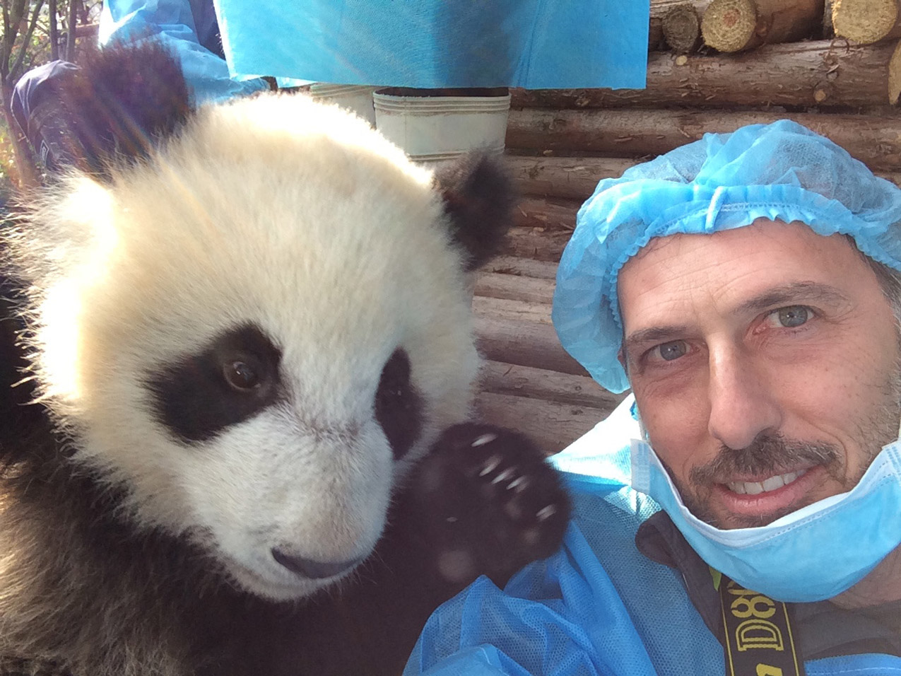 Noted Animal Documentarian Returns With Pandas Front Row Features