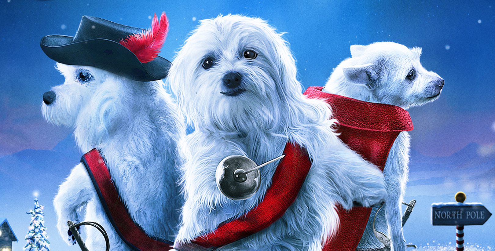 EXCLUSIVE: Christmas Cain - 5 Photos - Front Row Features