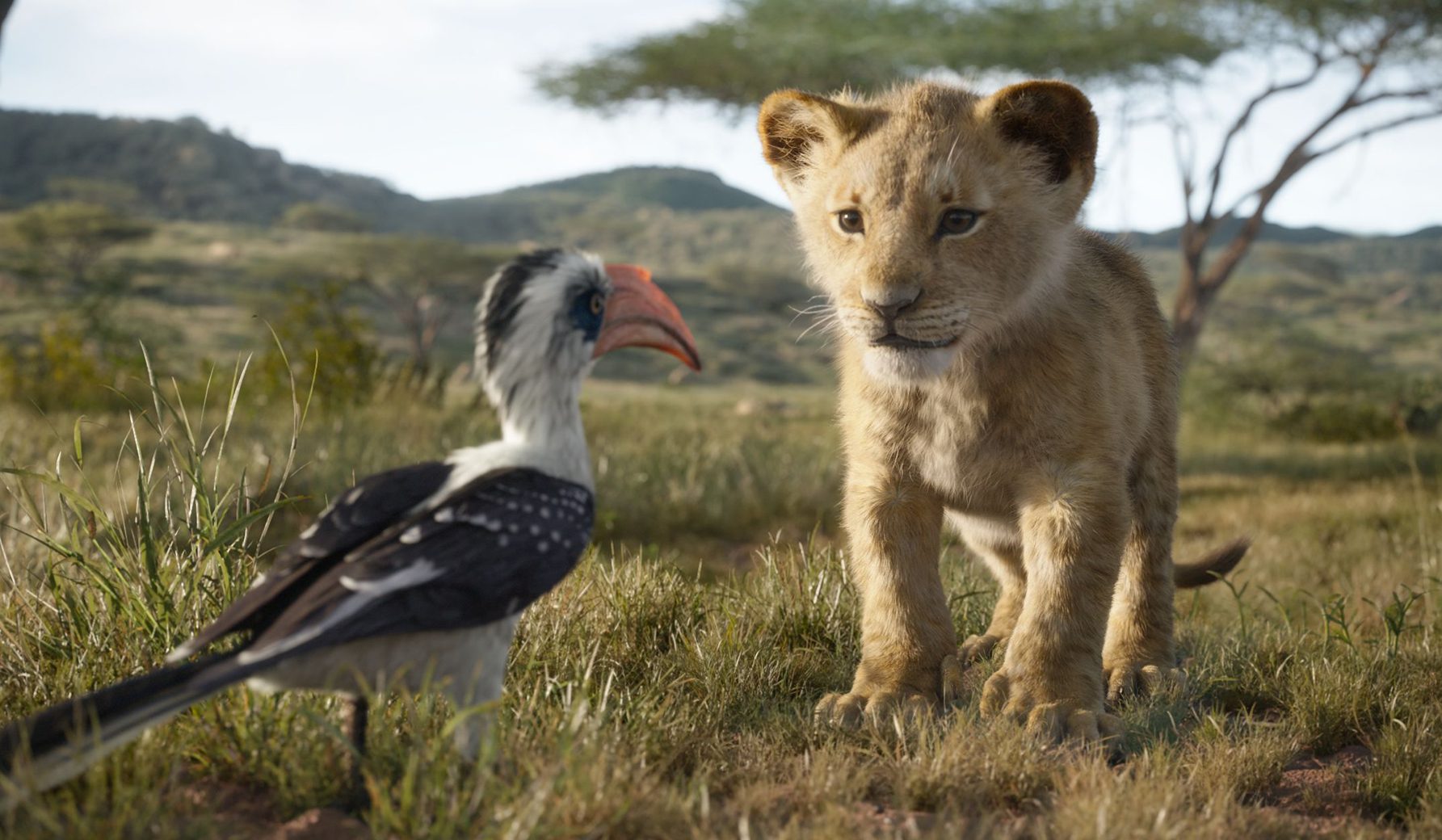 Photos: Cub Actors Roar to Life as Simba and Nala in New 'The Lion King ...