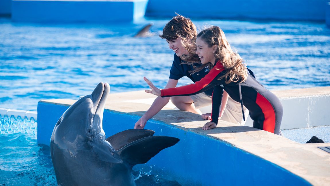 Photos: EXCLUSIVE: Kevin Sorbo Finds Redemption in 'Dolphin' Sequel ...